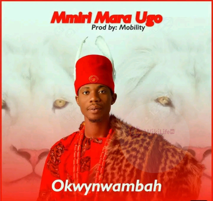 Okwy Nwamba Biography, About, Net worth, Age, Family & More